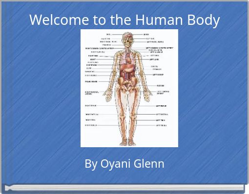 "The Human Heart" - Free stories online. Create books for kids ...