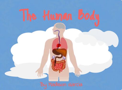 "The Human Body" - Free stories online. Create books for kids | StoryJumper