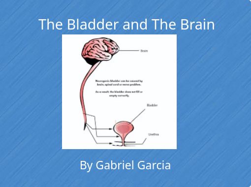 "The Bladder and The Brain" - Free stories online. Create books for ...