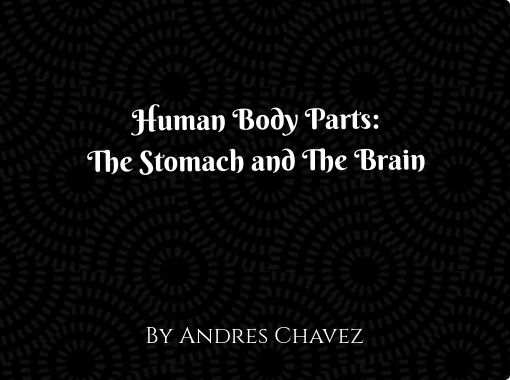 "Human Body Parts:The Stomach and The Brain" - Free stories online ...