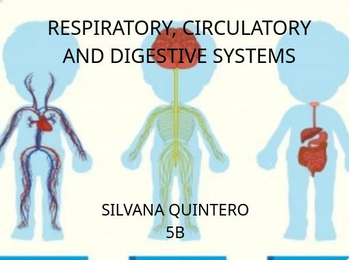 "RESPIRATORY, CIRCULATORY AND DIGESTIVE SYSTEMS" - Free stories online ...
