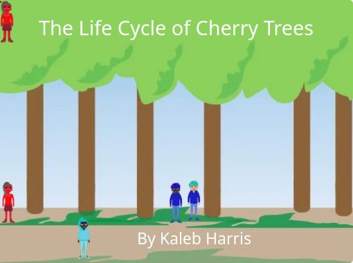 "The Life Cycle of Cherry Trees" - Free stories online. Create books ...