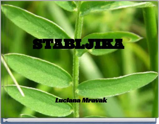 "STABLJIKA" - Free stories online. Create books for kids | StoryJumper