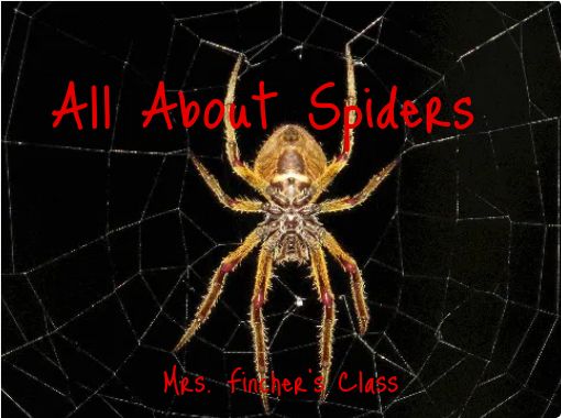 "All About Spiders" - Free stories online. Create books for kids ...