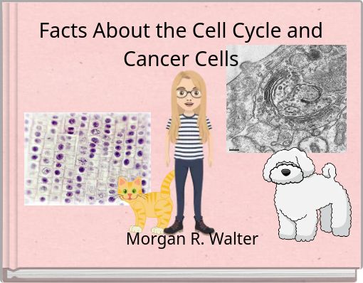 "Facts About the Cell Cycle and Cancer Cells" - Free stories online ...
