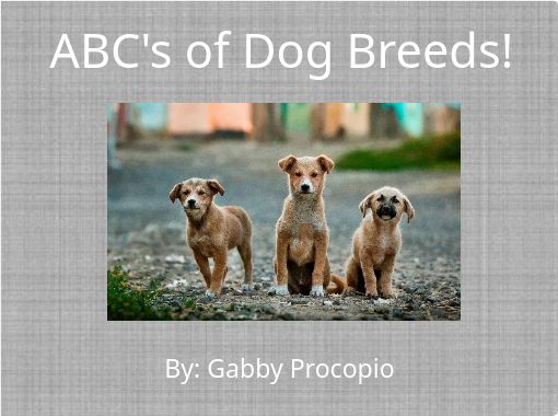 "ABC's of Dog Breeds!" - Free stories online. Create books for kids ...