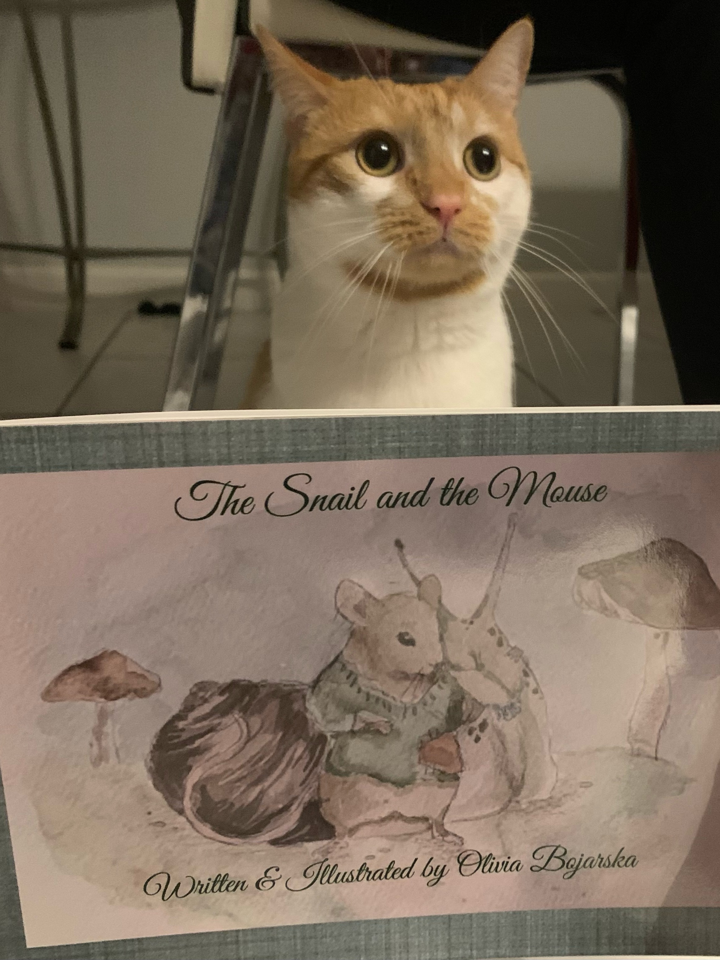 "The Snail and the Mouse" - Free stories online. Create books for kids ...