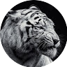 Eric Romansky's books on StoryJumper